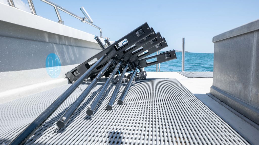 Imagery data from baited remote underwater video systems (BRUVS) are ...